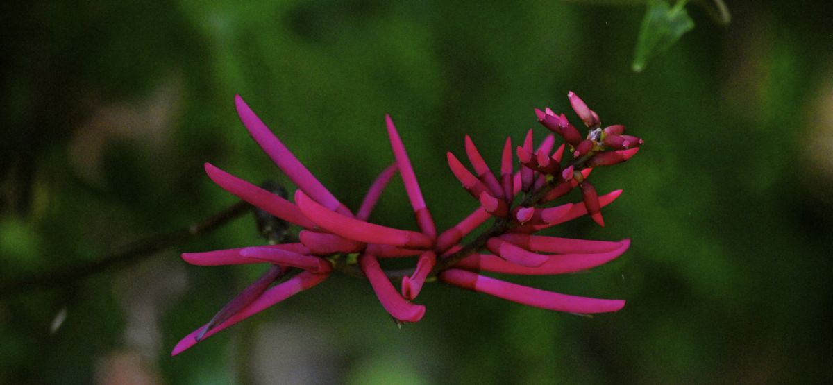 Oleta River State Park