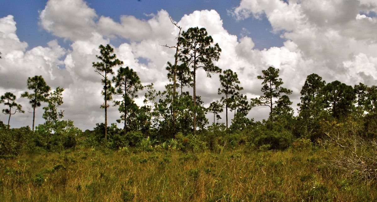 J.W. Corbett Wildlife Management Area North Entrance
