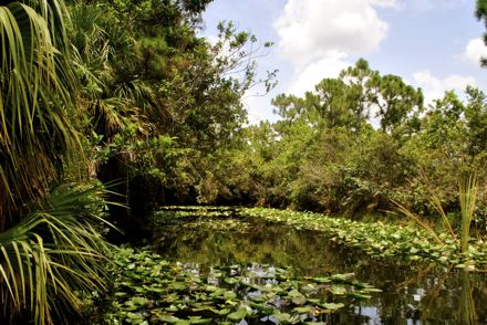 J.W. Corbett Wildlife Management Area North Entrance