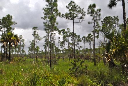 J.W. Corbett Wildlife Management Area North Entrance
