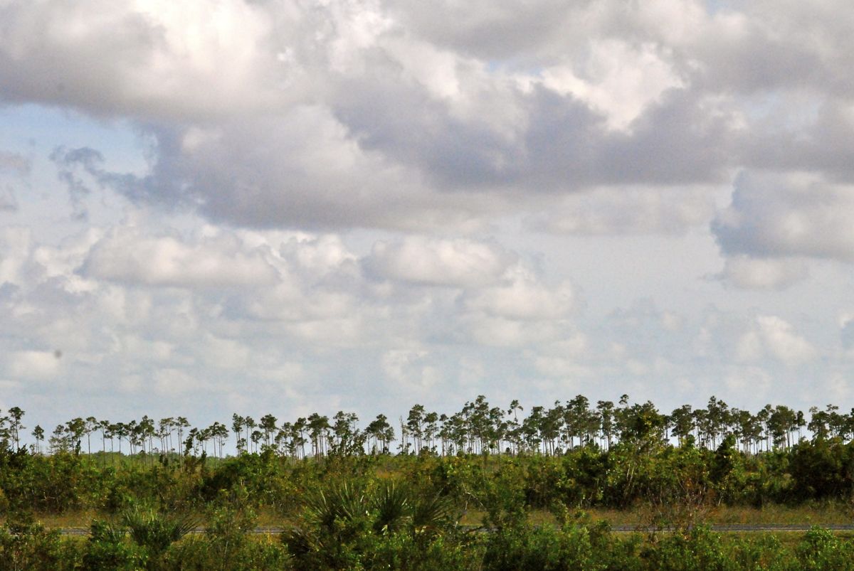 Homestead Everglades National Park