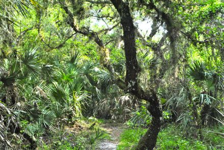 Halpatiokee Regional Park