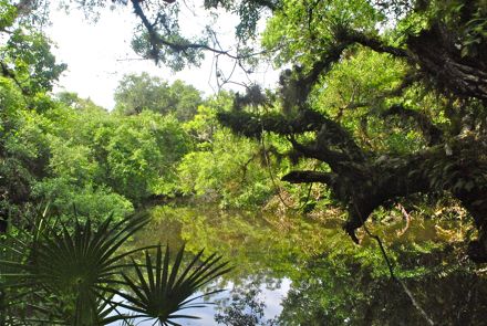 Halpatiokee Regional Park