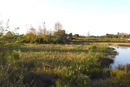 Plantation Preserve Linear Trail
